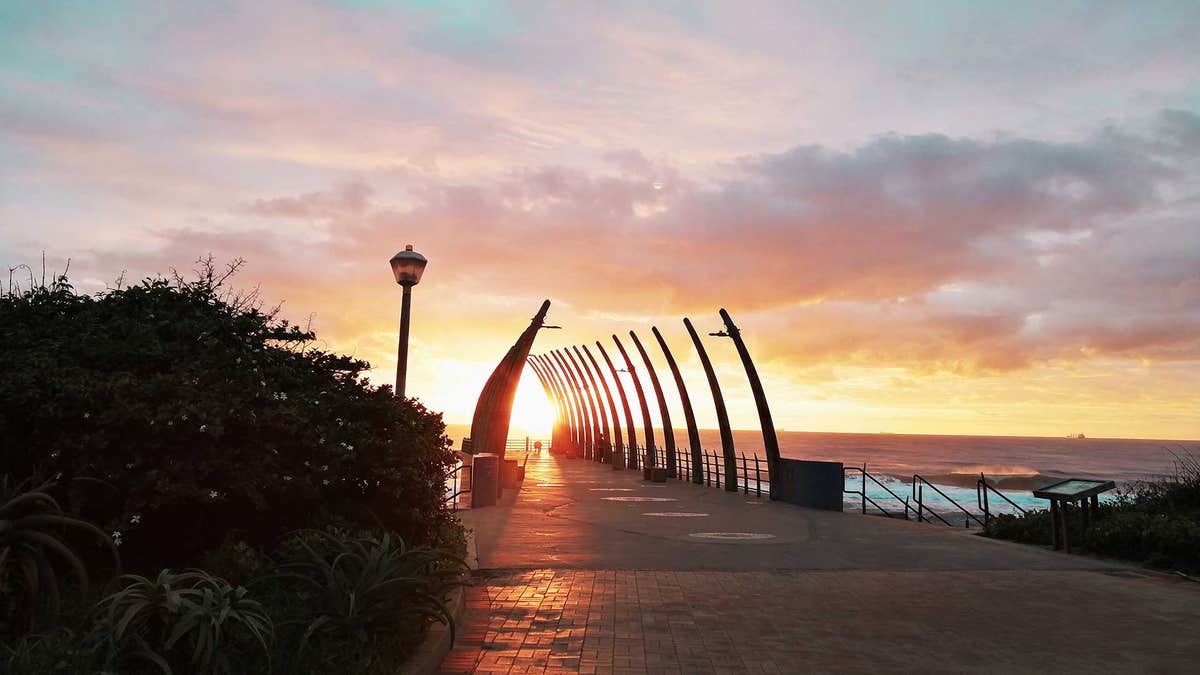 Alexforbes About us | Impact: Transformation